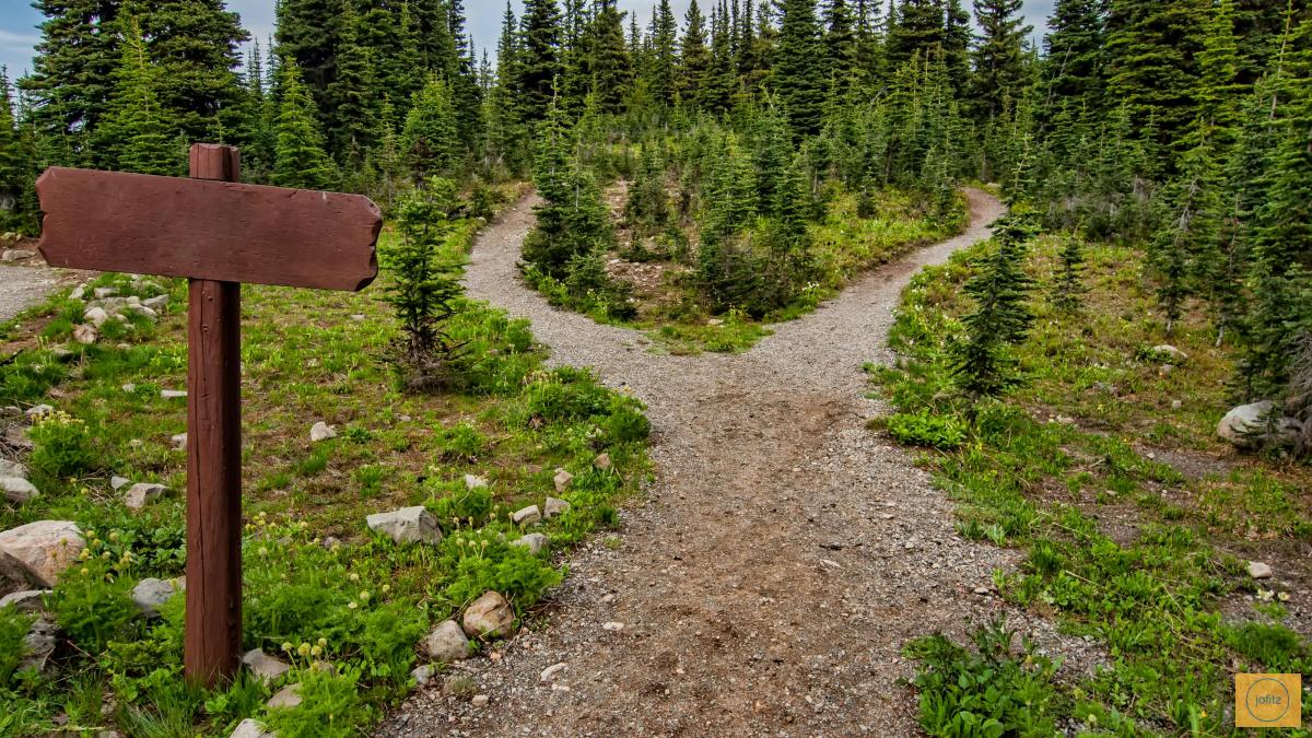 Drupal basics: Pathauto | jofitz